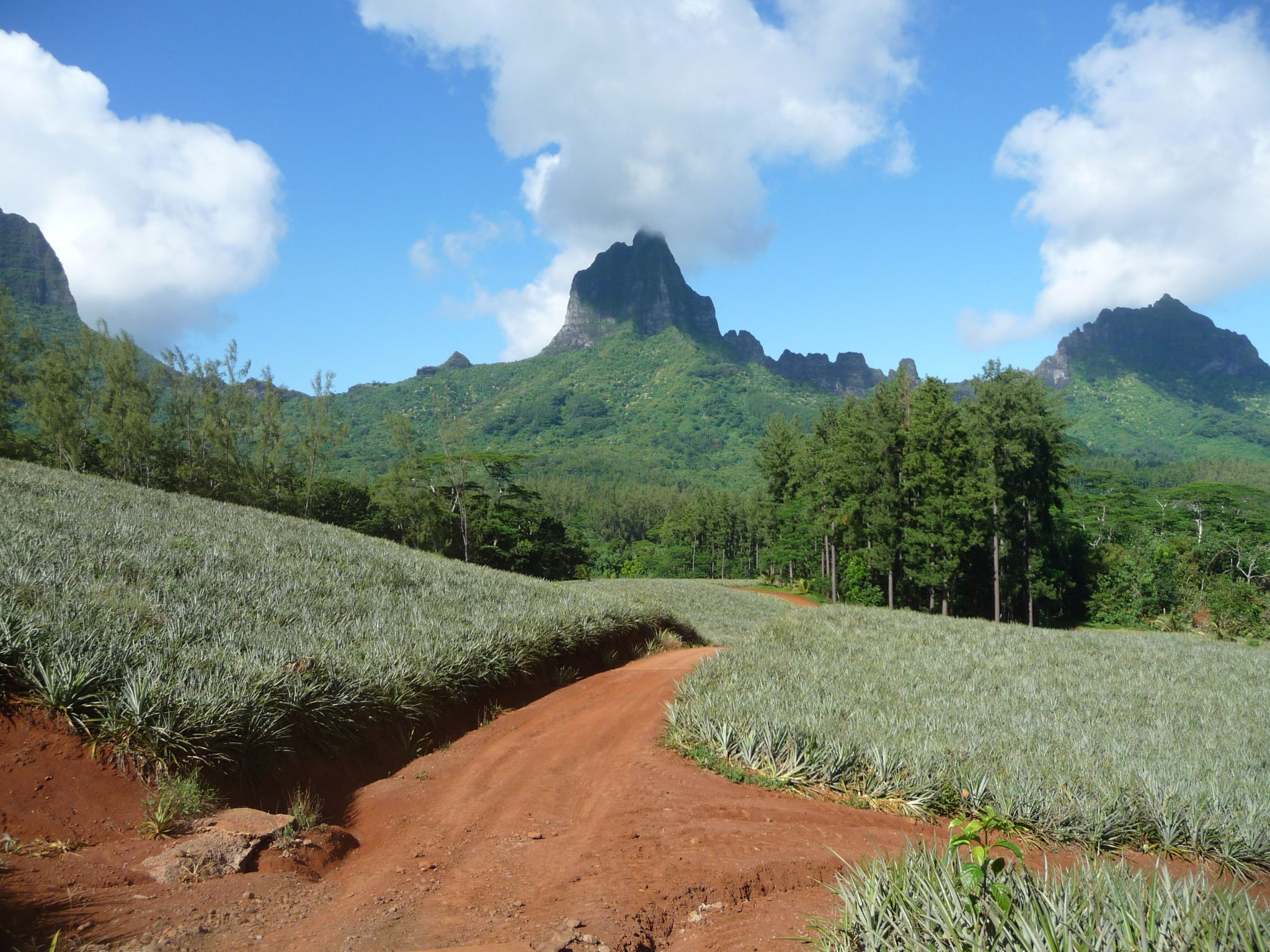 Tour de l'île de Moorea. Tous les spots à voir - Tahiti Tourisme