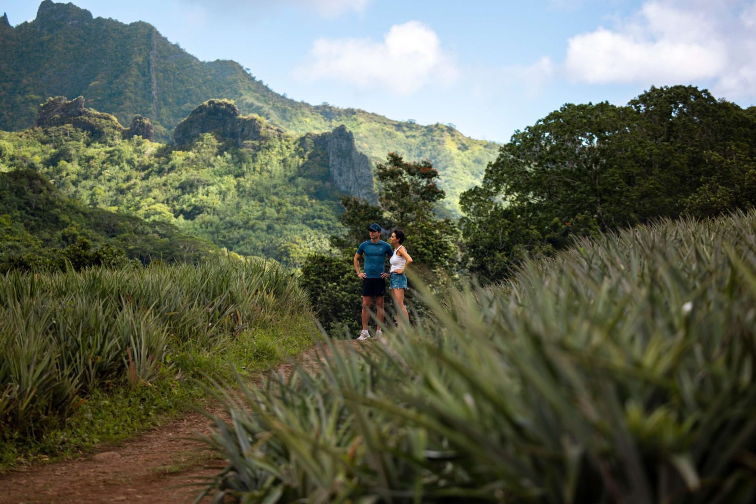 Explorer la route des ananas à Moorea - Tahiti Tourisme