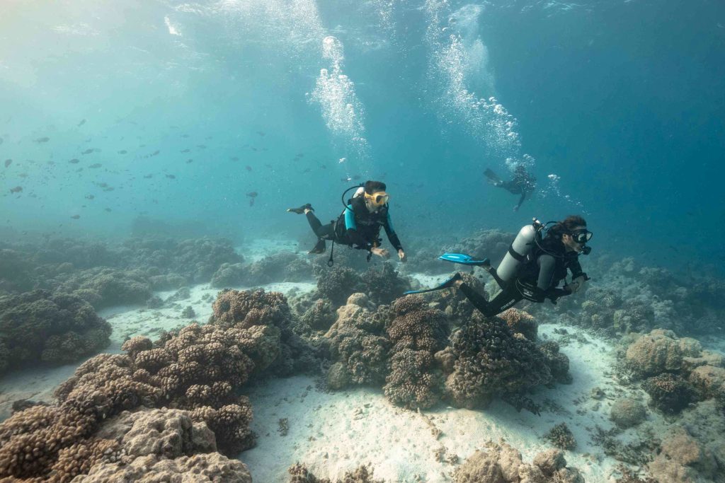As Ilhas Tuamotu: recifes de coral e lagoas azul-turquesa - Tahiti Tourisme