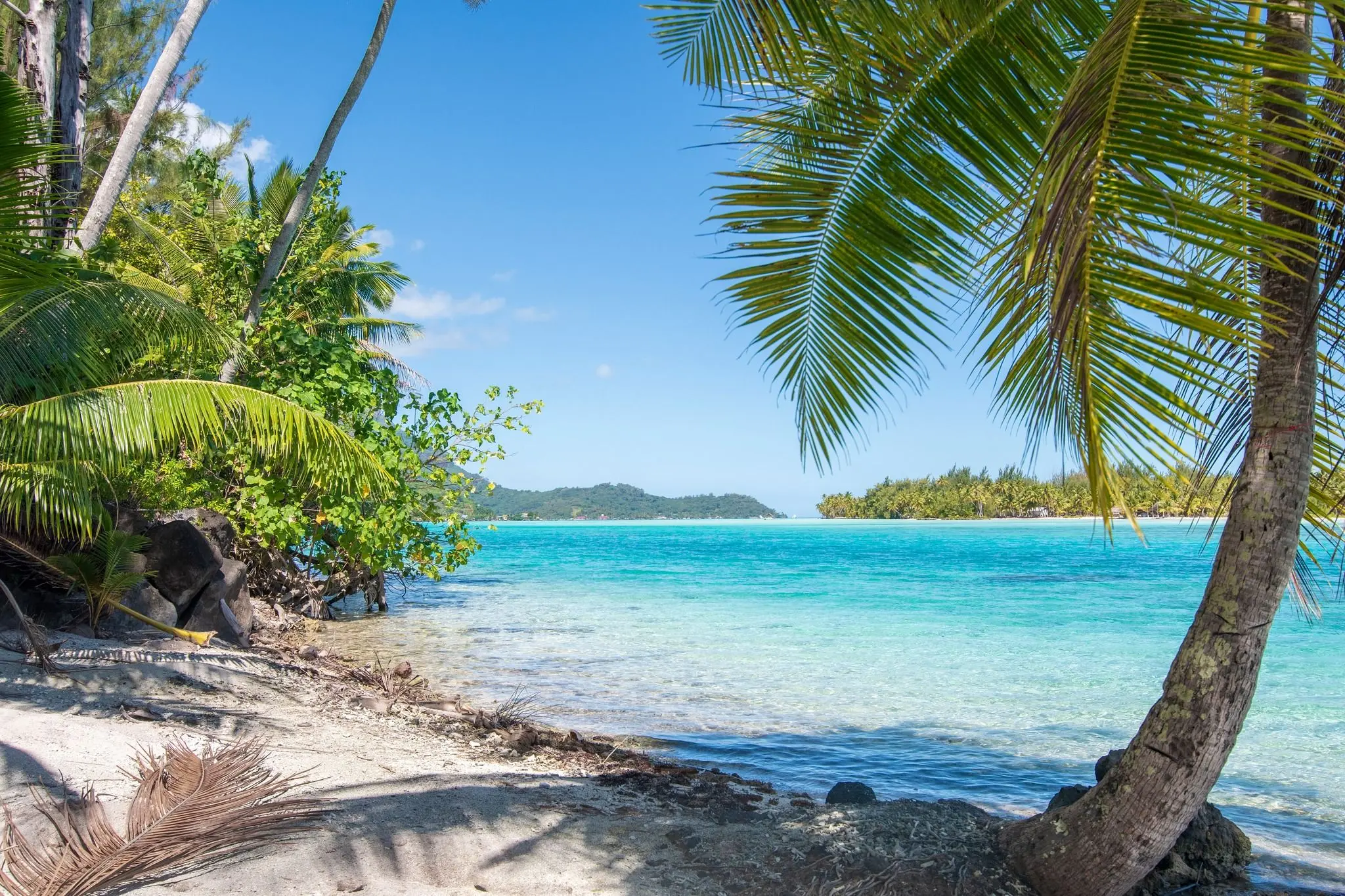 Voyage en plein cœur de la culture Polynésienne - Tahiti Tourisme