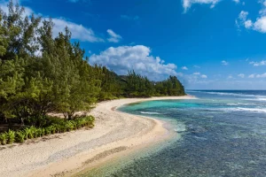 Danse tahitienne - Tahiti Tourisme